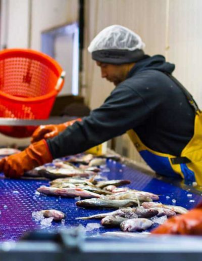 Sustainability | Lund's Fisheries